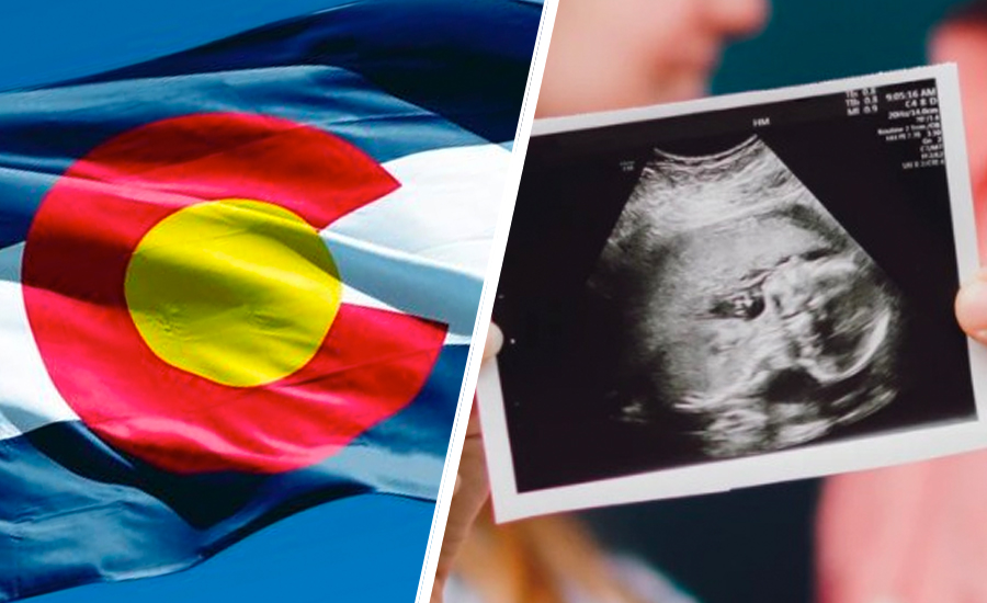 Colorado Proposition 115: Results