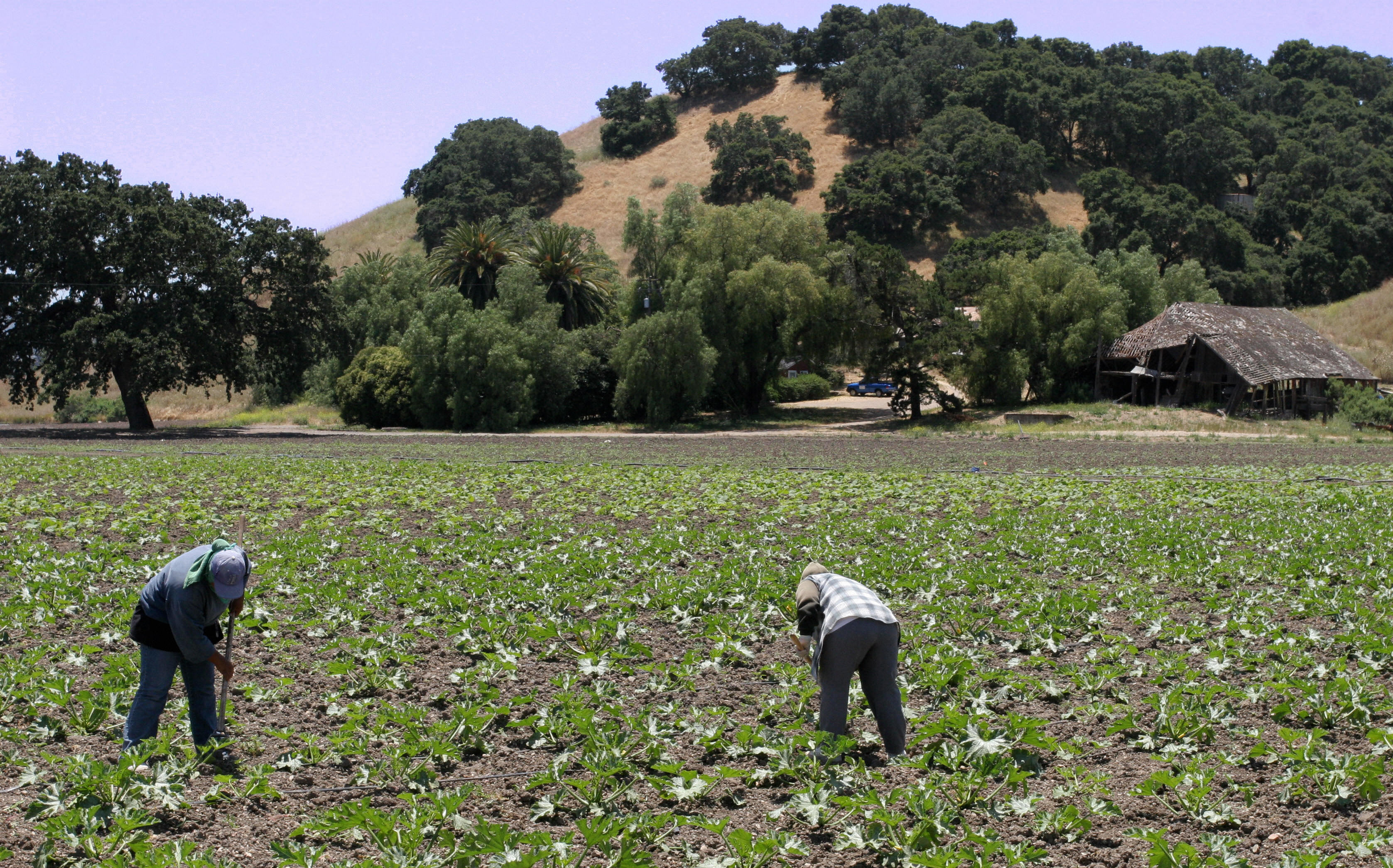U.S. Catholic bishops on Labor Day: Honor ‘human dignity of all who labor’