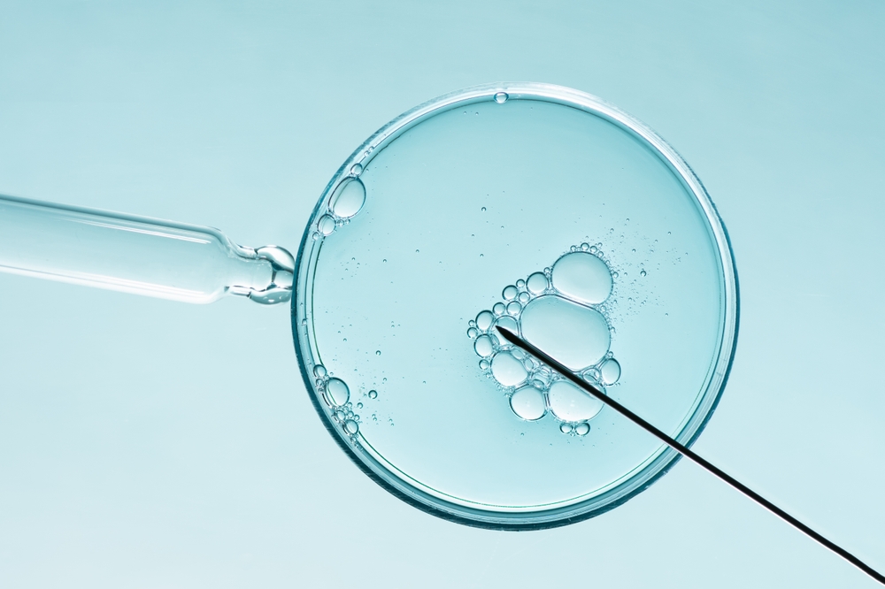Virginia bishop: IVF ‘contrary to justice,’ destroys many human lives