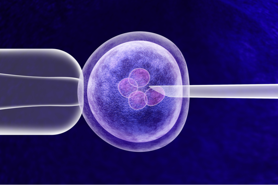 First British baby with DNA from three people is born after IVF procedure