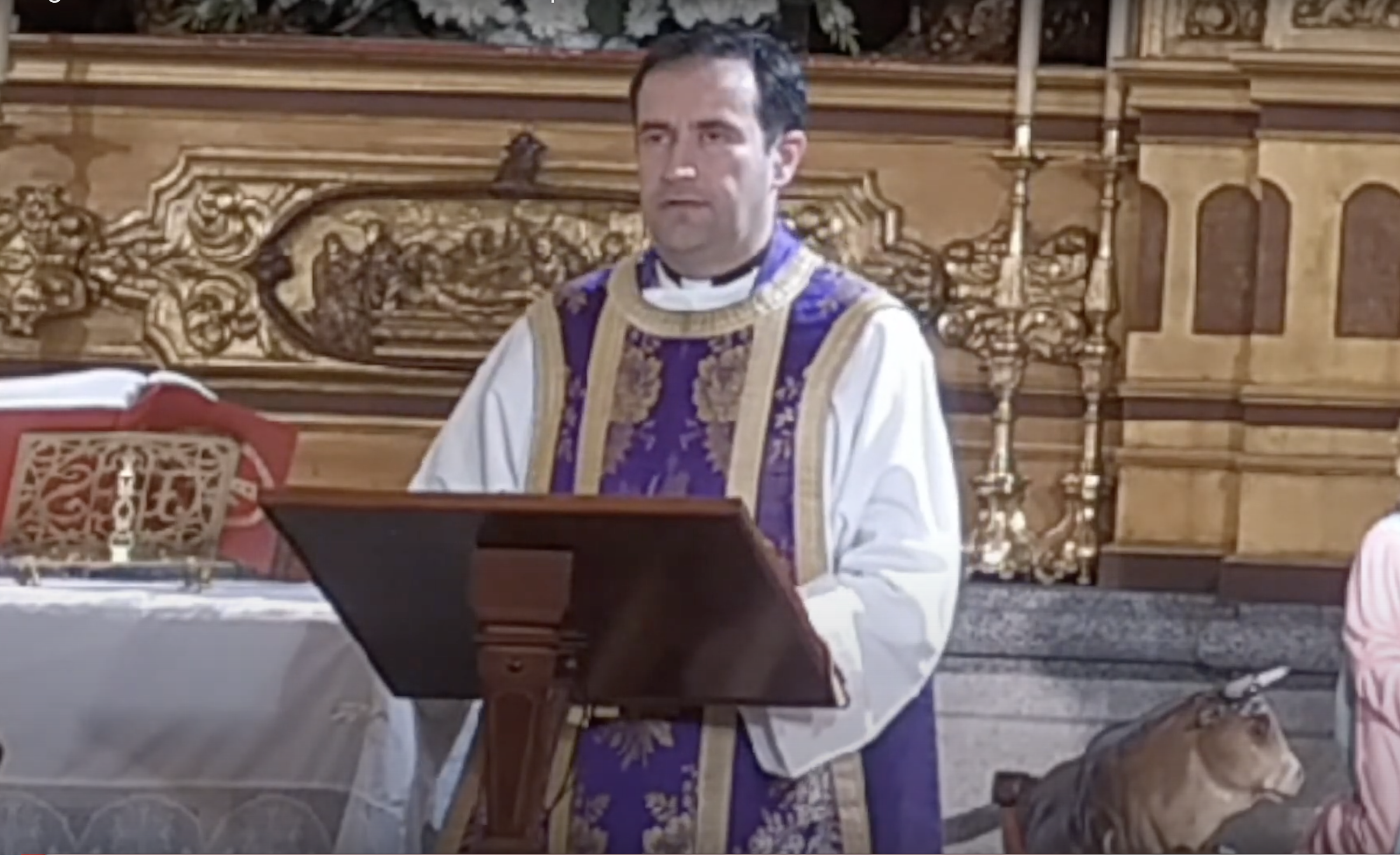 Priest in Spain who preached on the affective disorder of homosexuality ...