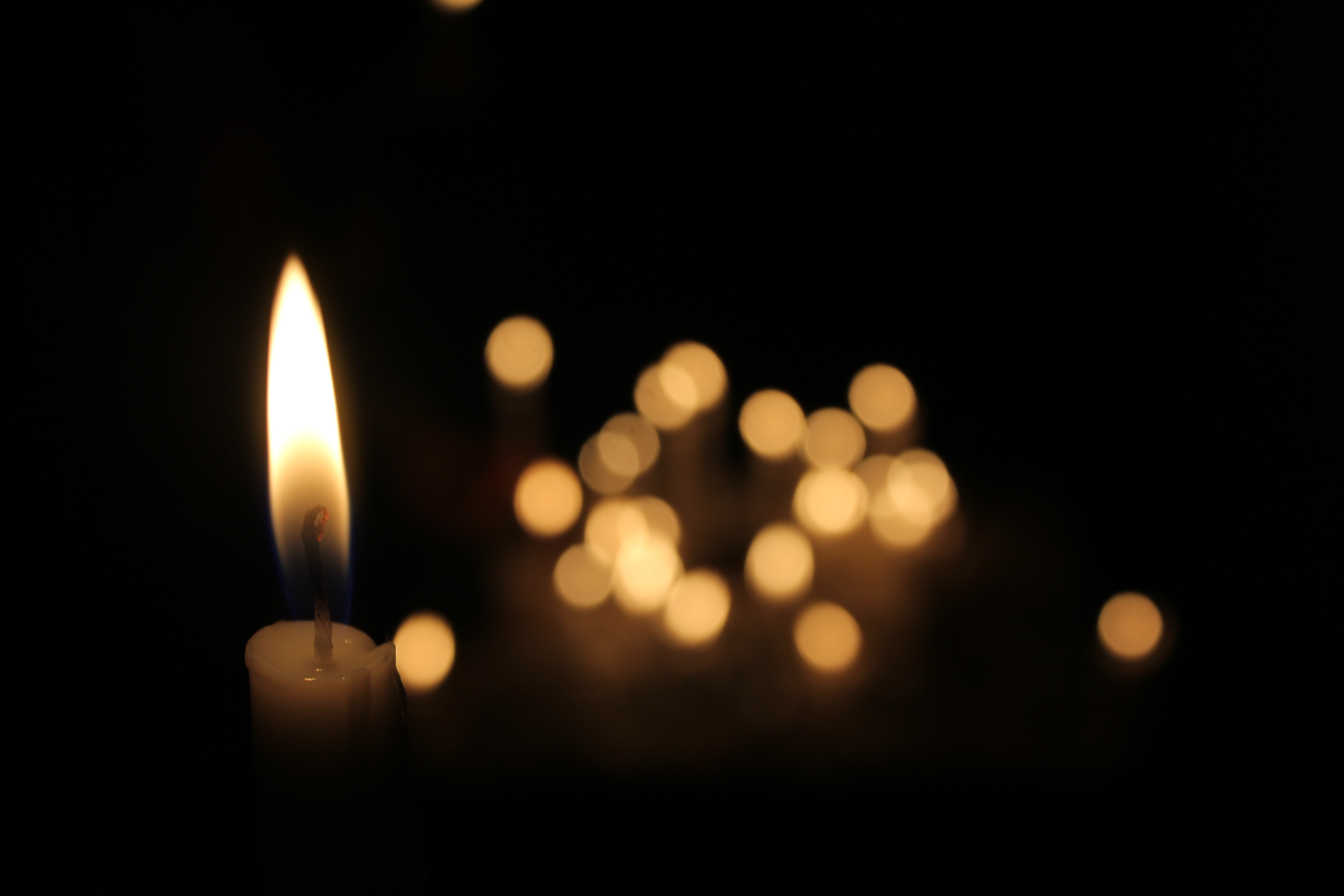 Ancient Rorate Caeli Mass sees resurgence at National Shrine this Advent