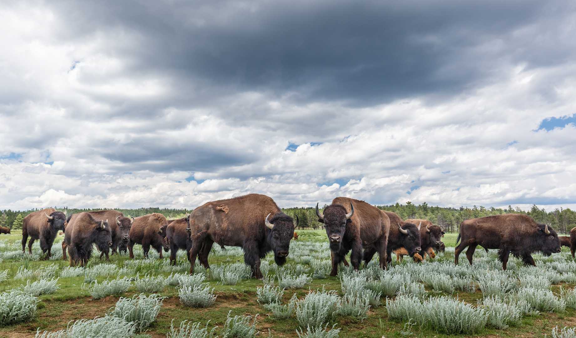 Luxury Vacation Club | Membership Travel with Exclusive Resorts