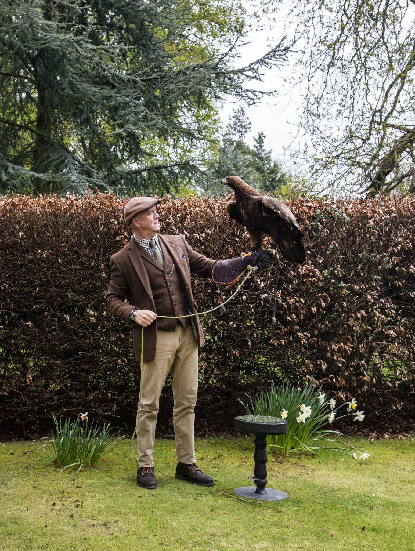 Experience The Scottish Tradition of Falconry in St. Andrews, Scotland