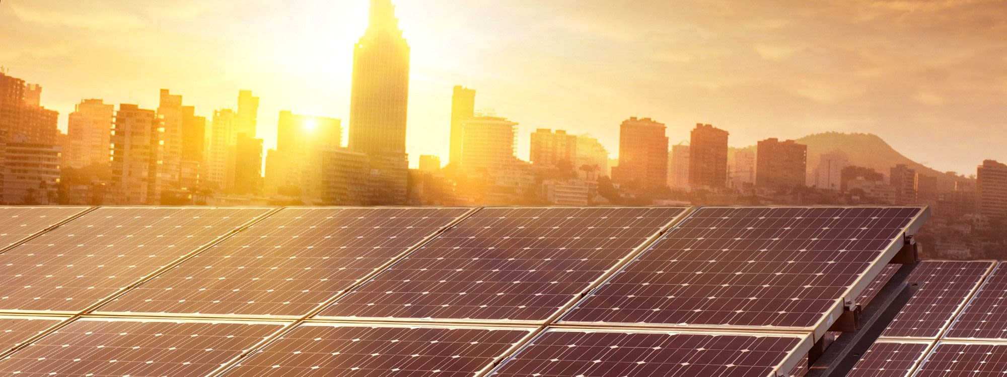 Home - NEOSOLAR גנרטורים ומערכות סולאריות