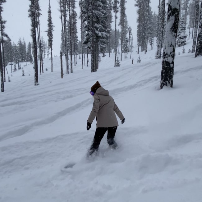 Expert review of Niche Snowboards 2022/23 Pyre | ExpertVoice