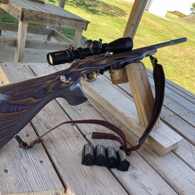 Expert review of Stealth Project Suppressors Bolt DT .22 Caliber ...