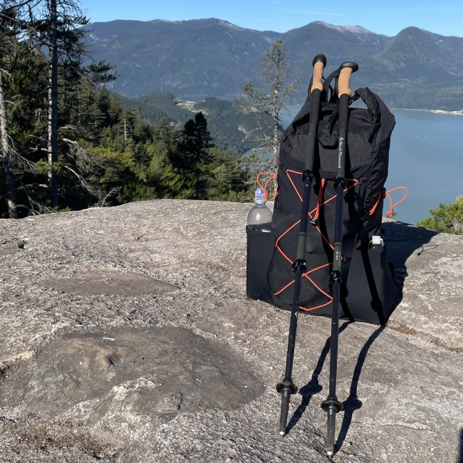 Expert review of Black Diamond Alpine Carbon Cork | ExpertVoice