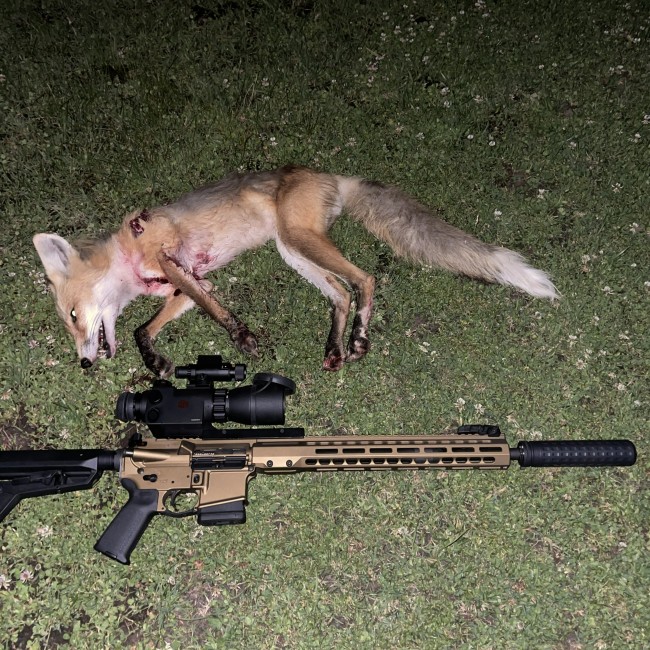 Expert review of X-Vision Optics Phantom 55 Night Vision Binoculars ...