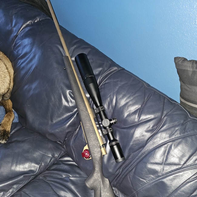 Expert review of Vortex Optics Viper HS-T 6-24x50 Riflescope w/ VMR-1 ...