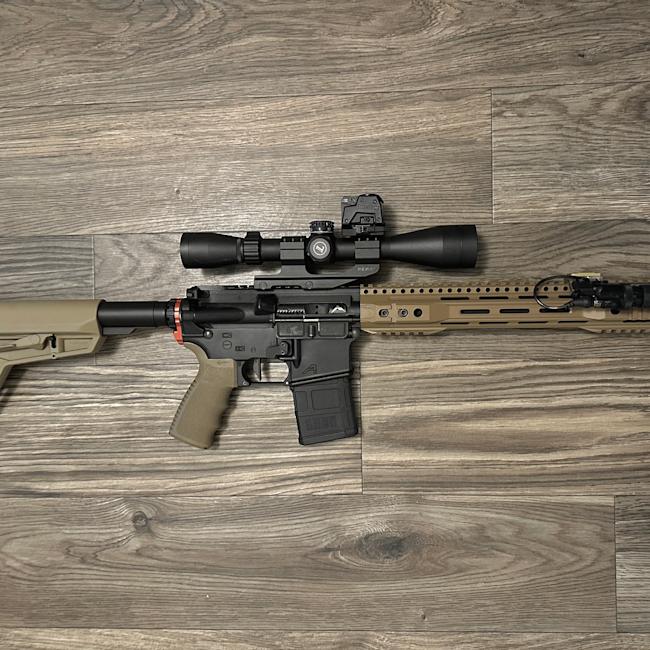 Expert review of Steiner Micro Pistol Sight (MPS) | ExpertVoice