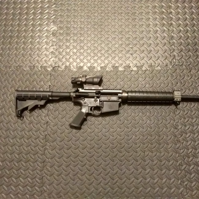 Expert review of Trijicon TA31F ACOG 4x32 Scope | ExpertVoice