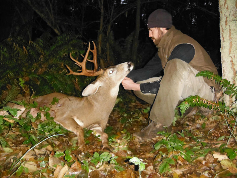 Mathews Cook | ExpertVoice