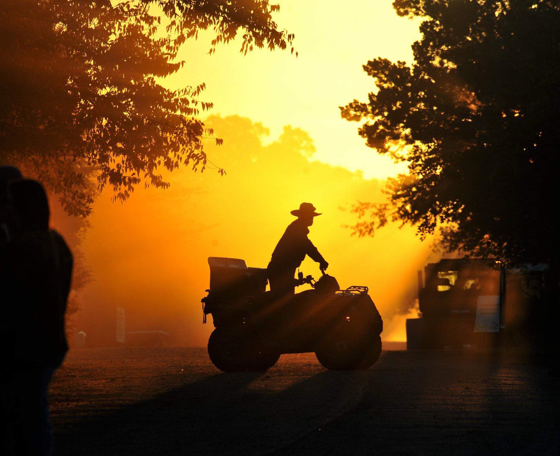 Morgan Harbison | ExpertVoice