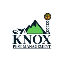 19 Best Knoxville, TN Pest Control Services | Expertise.com