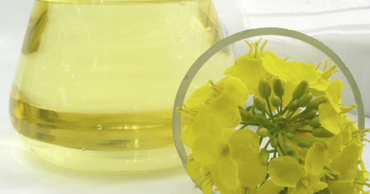 Discover cold forming vegetable oils at Fastener Fair in Milan | expometals