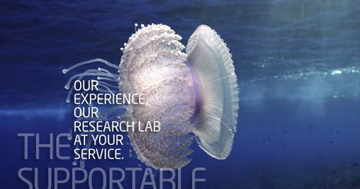 Cold forming phosphating agents | expometals