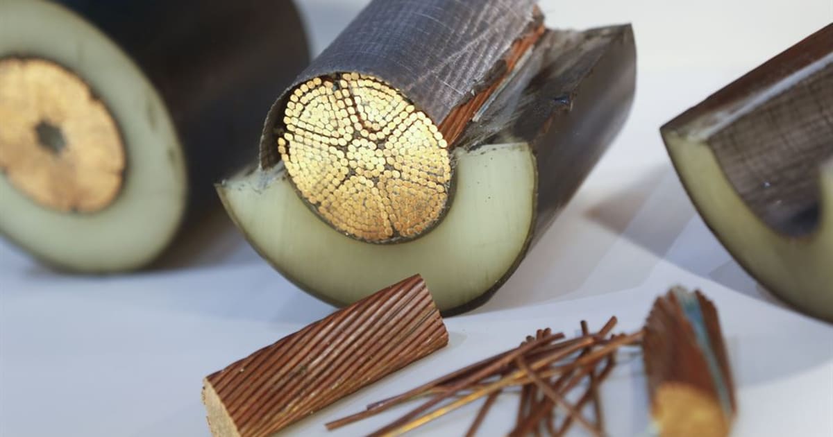 Focus on copper cables and fibre optics for signal transmission ...