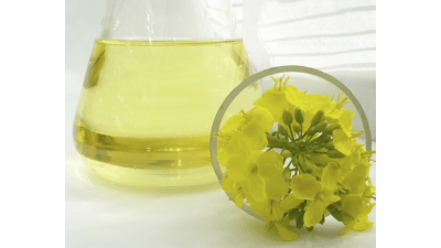 Eco-designed lubricants for cold heading operations on steel super ...