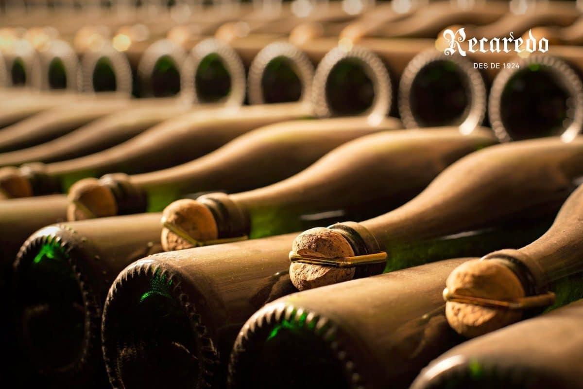 Cavas Recaredo winery, Sant Sadurni D'Anoia, Spain