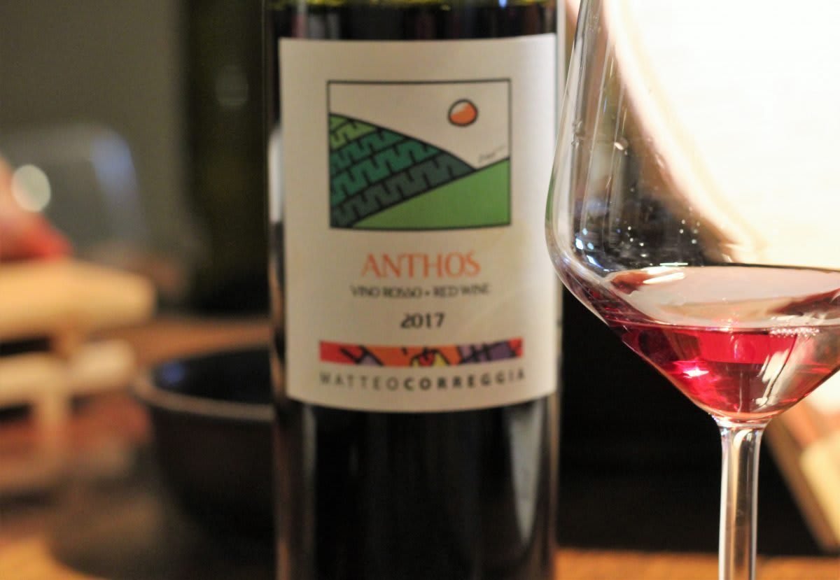 Matteo Correggia: The wines of Langhe & Roero ⋆ The Extreme Housewife