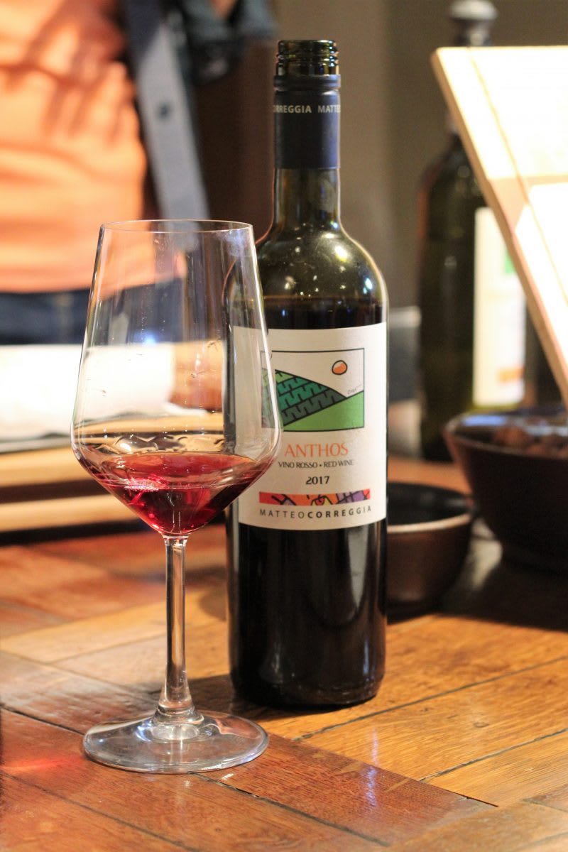 Matteo Correggia: The wines of Langhe & Roero ⋆ The Extreme Housewife