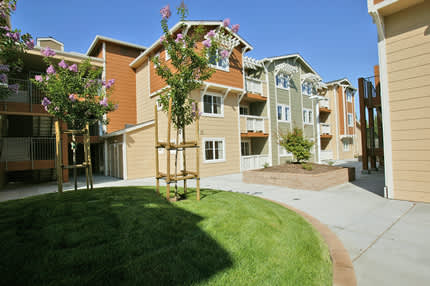 Oak Tree Village Apartments - 1