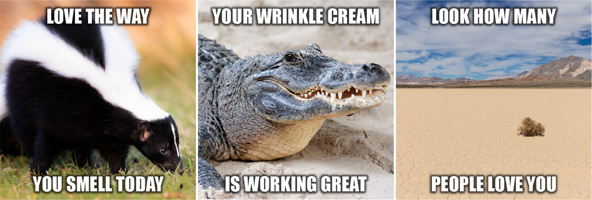 Facebook 'Hateful Memes Challenge' Wants To End Hateful Meme With AI ...