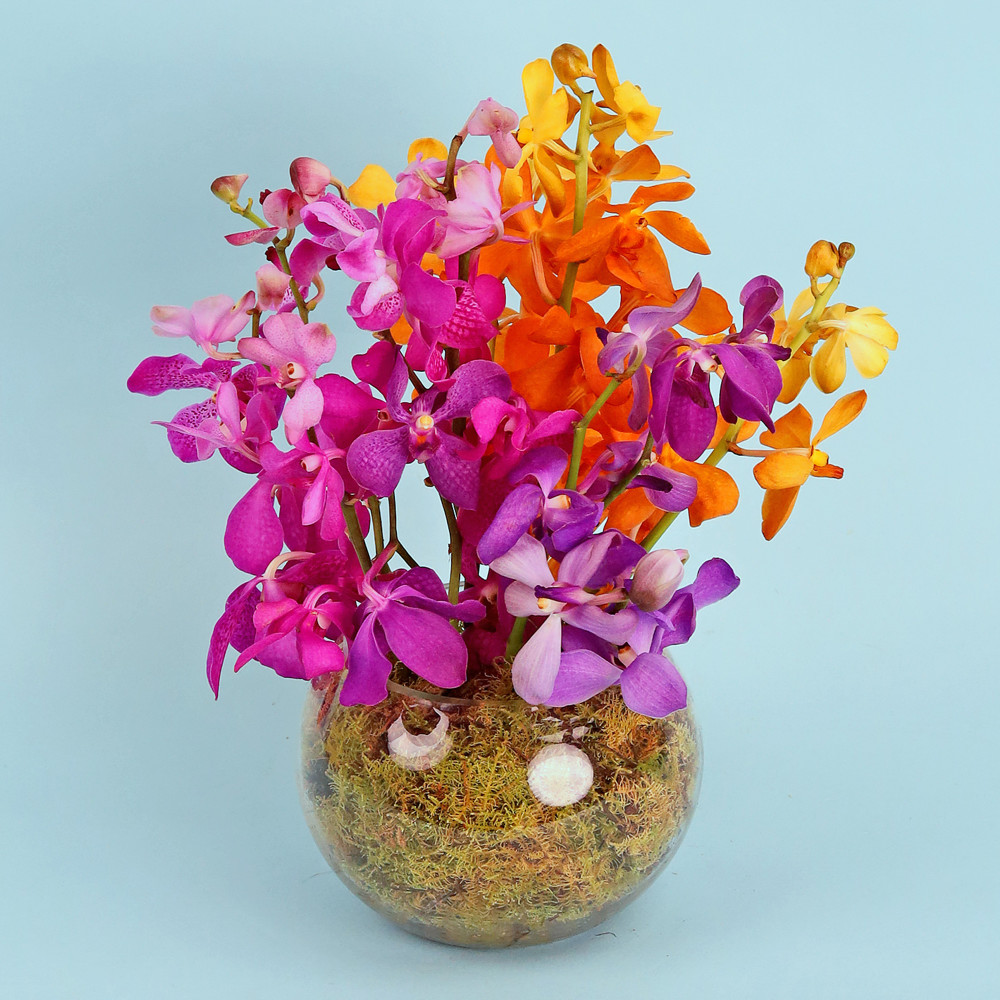 Orchid Fish Bowl