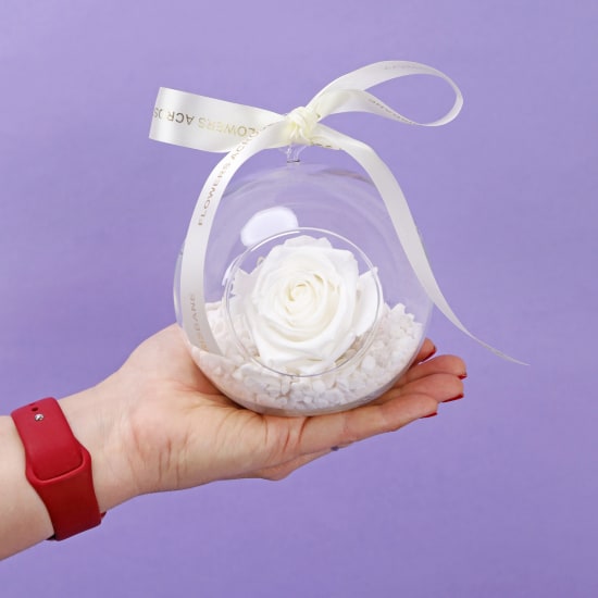 Preserved White Rose Orb