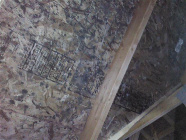 Langley Home Inspection Reveals Mold and Leaks in Attic - Fairbairn ...