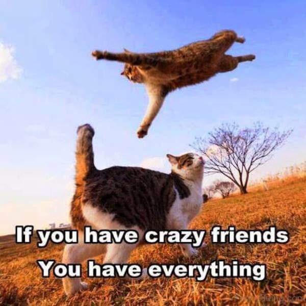 Funny Crazy Friend Memes