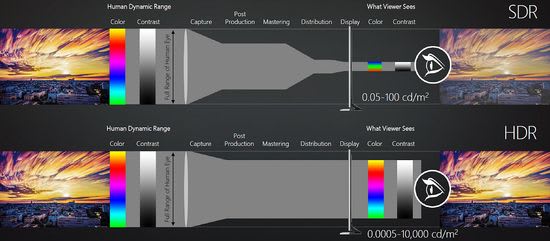 What is Frame Rate, High Dynamic Range, Display Resolution and HDMI 2.1 ...