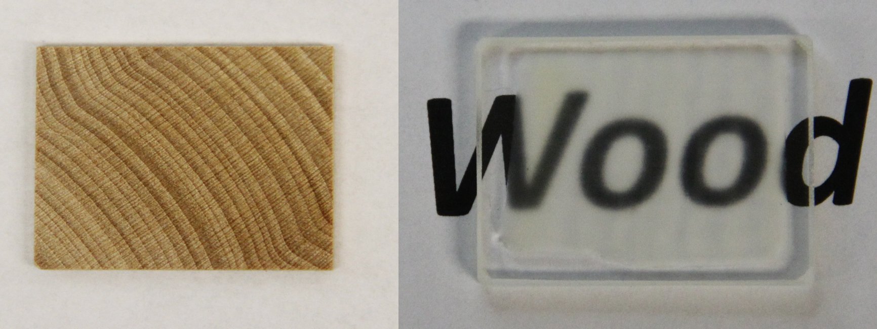 Scientists have created transparent wood - Fast Company