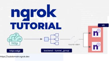 ¿Qué es ngrok? | Fazt.dev
