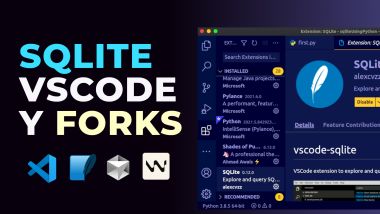 Cómo usar SQLite directamente en Visual Studio Code con una sola ...