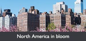 Cheap Flights, Vacation Packages & Travel Deals | Flight Centre