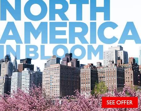 Cheap Flights, Vacation Packages & Travel Deals | Flight Centre