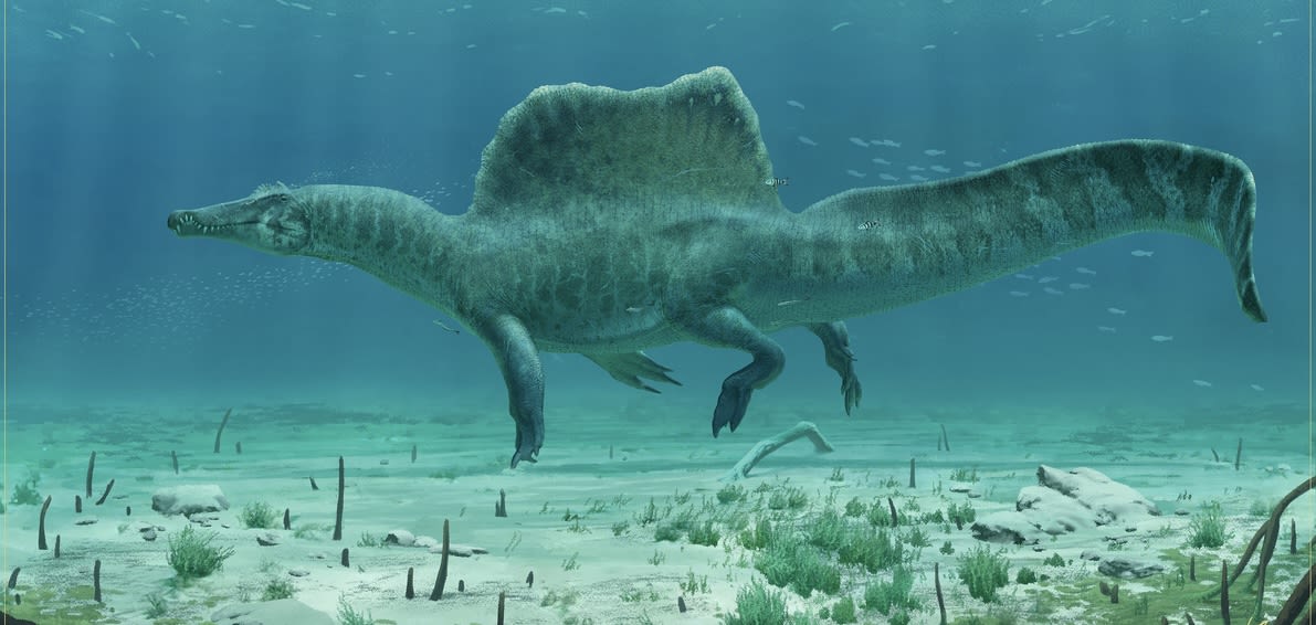 Spinosaurus tlc - Path of Titans