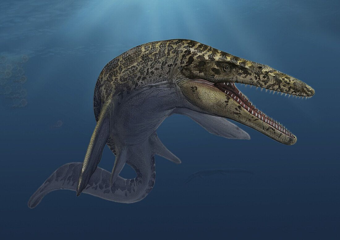 Playable Mosasaurus - Path of Titans
