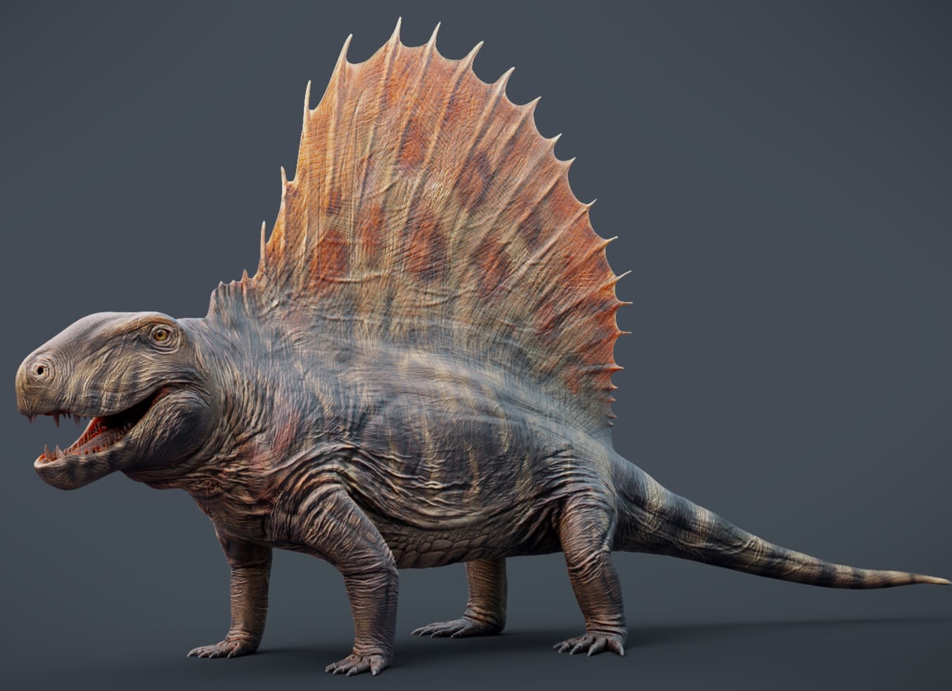 Dimetrodon as playable creature ! - Path of Titans