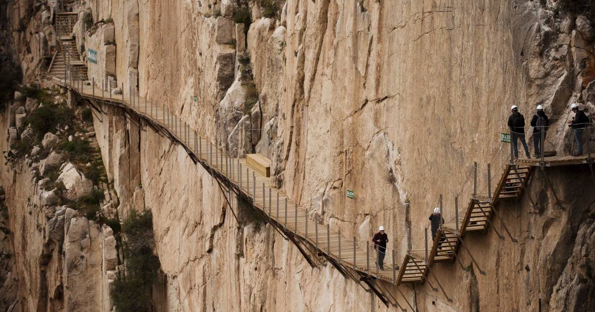 Cliff overhang platforms: To build againts cliffs - Timberborn – Bugs ...