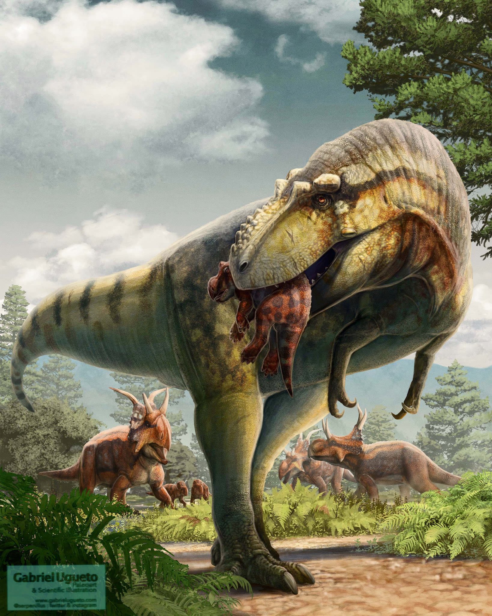 Daspletosaurus vs Allosaurus - Path of Titans
