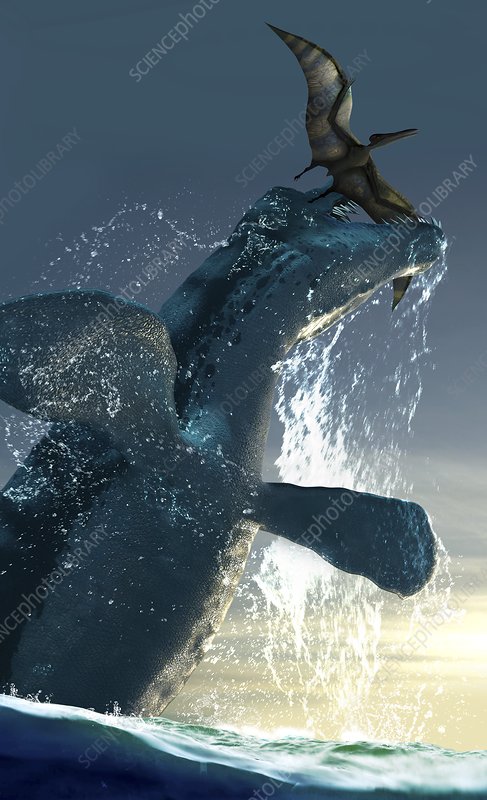 Tylosaurus - Path of Titans