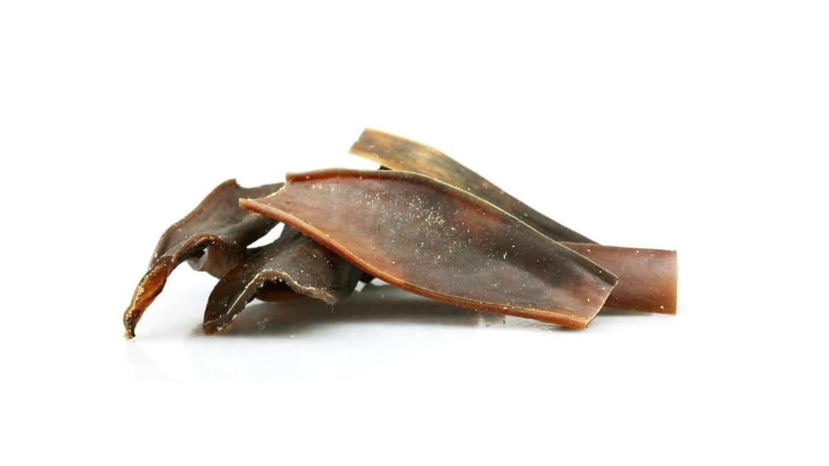 Febo Norge er leverandør av Snacks og tygg til hunder