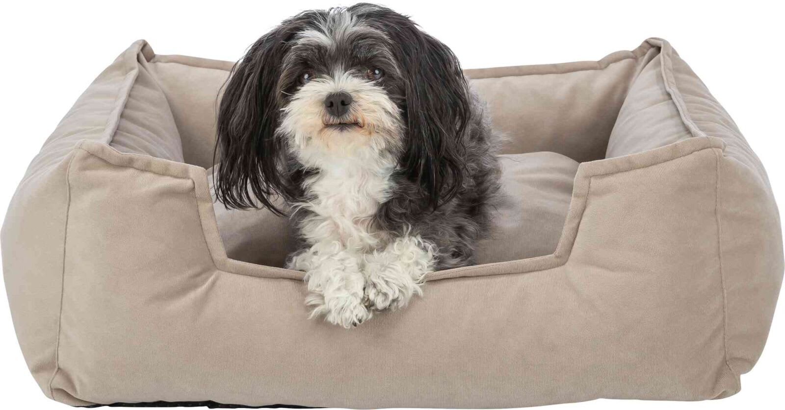 Hundeseng 37825 Talia 60x50cm Sand Febo Norge