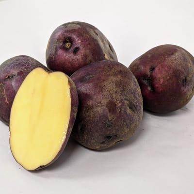 Mid Season Potatoes - - Fedco Seeds