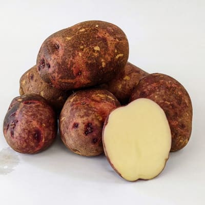 Mid Season Potatoes - - Fedco Seeds