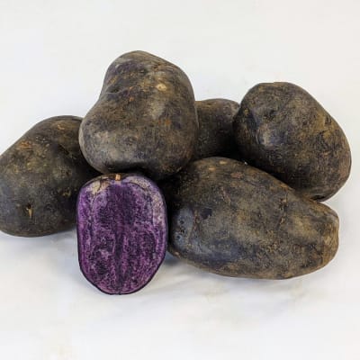 Potato Seed Potatoes - Fedco Seeds