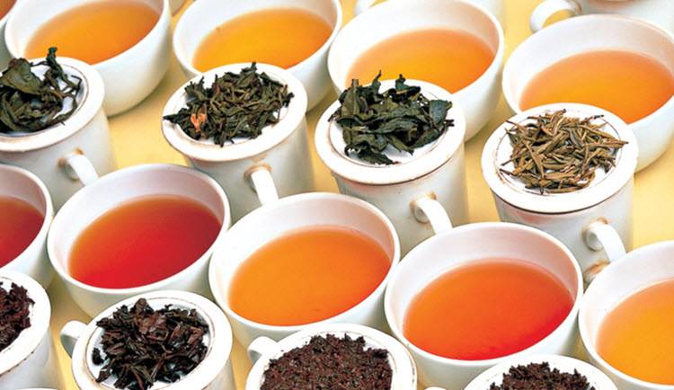 Top Healthy Teas - Drinking Tea for Health and Longevity